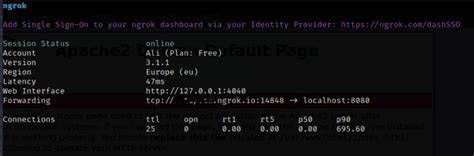 Forming Backdoor Payload And Obtaining A Reverse Shell Using Ngrok And
