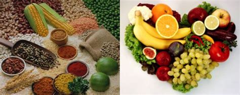 Шим тэжээл дүүрэн өглөө эрч хүч дүүрэн амьдрал