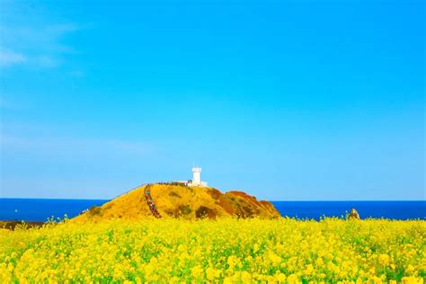 제주 인기 투어and티켓 설렘 가득 즐거운 특가 여행