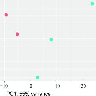 Clustering Of Samples By TashAT2 Expression A PCA Plot Showing