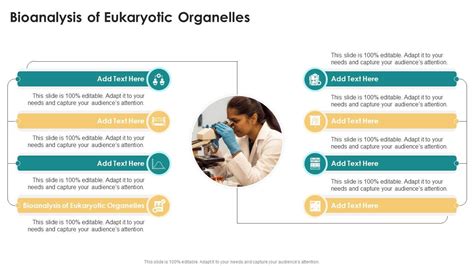 Bioanalysis Of Eukaryotic Organelles In Ppt Powerpoint Presentation Slide Templates Cpp Ppt