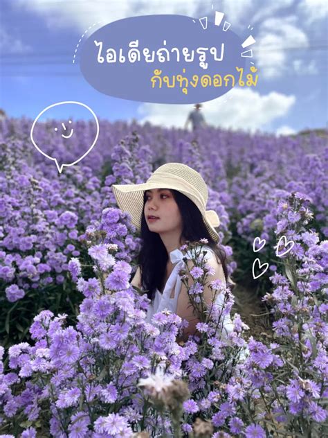 ไอเดียถ่ายรูปกับทุ่งดอกไม้🌸🌸📸 แกลเลอรีที่โพสต์โดย Pakarang Lemon8
