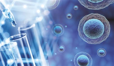 High Recovery Of Top Quality Purified Rna