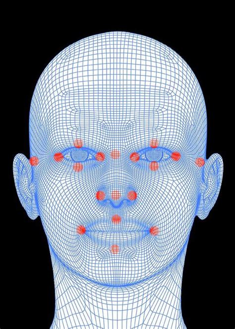 Biometric Facial Map Greeting Card By Science Photo Library