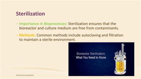 Lecture Overview Of Bioprocess Engineering Pdf