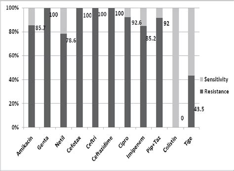 Antibiogram Of Isolated Acinetobacter N 28 Download Scientific Diagram