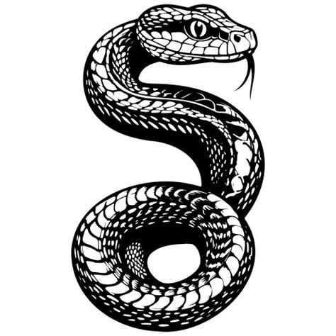 Snake Line Art Vector Images Over 6600