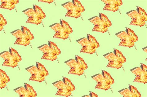 녹색 파스텔 햇볕이 잘 드는 배경에 말린 잎으로 만든 창조적 인 패트렌 가을 가을 추수 감사절 개념 플랫 레이 상단보기 미니멀 스타일 0명에 대한 스톡 사진 및 기타 이미지