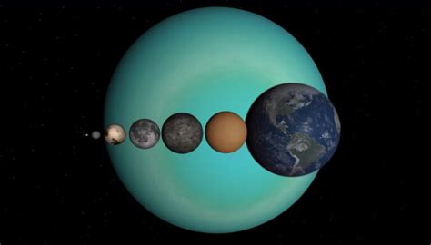 Classifying Objects Its Purpose And Role In Science And Education Or