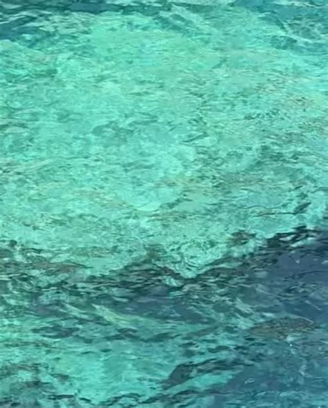 Ludivine Reding Partage Une Photo Au Naturel Durant Son Voyage Loin Du Québec Vedette Québec