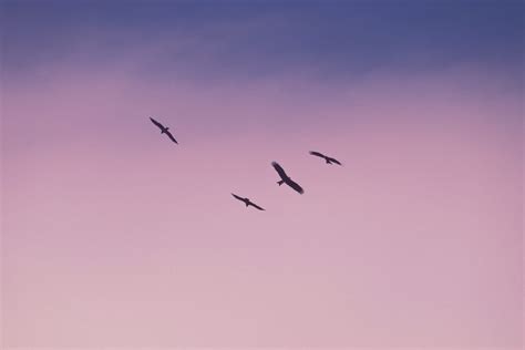 Rust Polars Unlocking High Performance Data Analysis Part 1