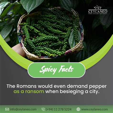 Prasad Sumudu Posted On Linkedin