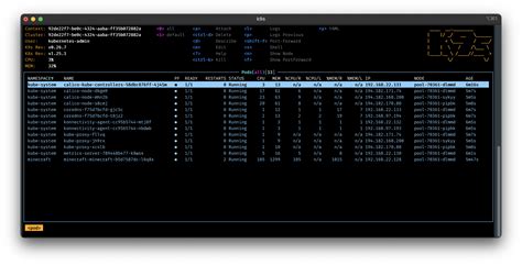 Running A Minecraft Server On An Exoscale Kubernetes Cluster Using Pulumi And Cue