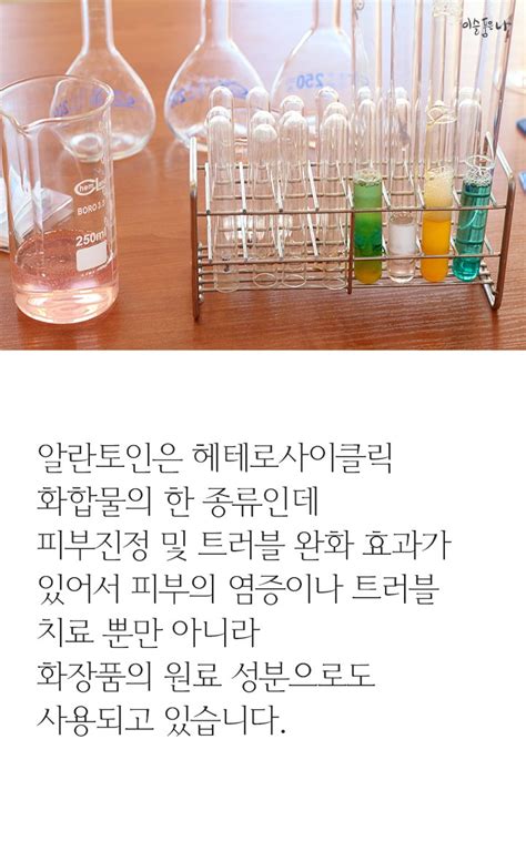 화장품 성분 이야기 알란토인 네이버 포스트