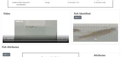 GitHub HOTSONHONET Zebra Fish Tracker