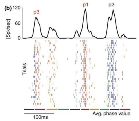 Sensory Neural Codes Using Multiplexed Temporal Scales Mmolano