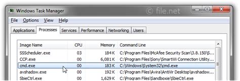 Windows Command Processor Lasopadirect