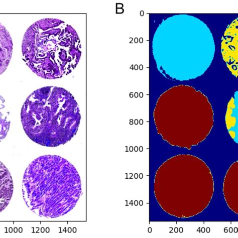 Example For Testing Dataset Dataset 2 Example Of Human Labelled