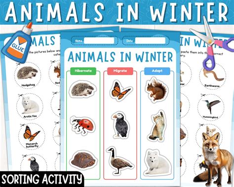Animals In Winter Hibernate Migrate And Adapt Animals Sorting