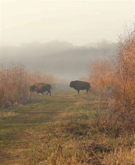 Matt Devitt Wink Weather Added Matt Devitt Wink Weather