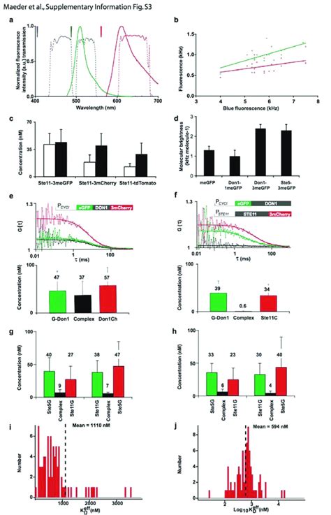 Figure S3 Setup And Validation Of The Fccs Method A Fccs Setup Download Scientific Diagram