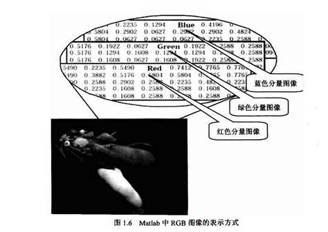 图像处理中的matlab使用 matlab0 1变量图像 csdn博客