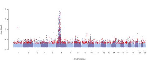 Genome Wide Scan For Ra Snp Association The P Values