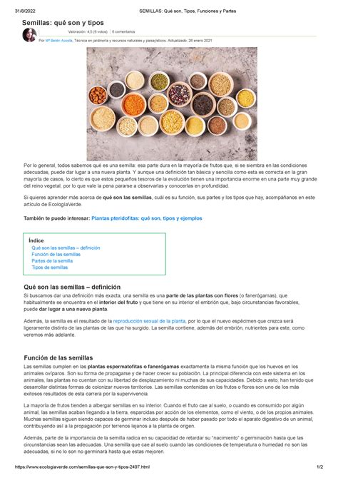 Semillas Qué Son Tipos Funciones Y Partes 3182022 Semillas Qué Son Tipos Funciones Y