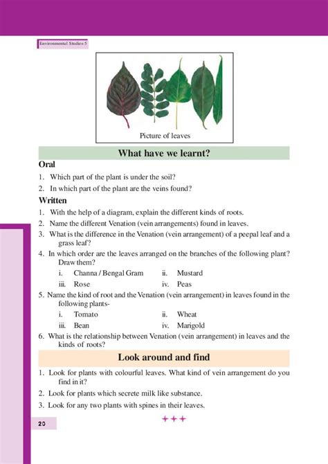 Cgbse Class 5th Evs Book Pdf In English Medium Download Online Cgbse Solutions