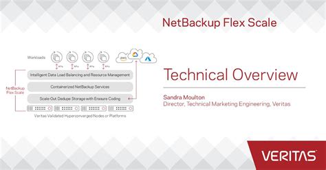 Sharifah Sheikha Sahab On Linkedin Veritas Technologies Llc On
