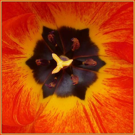 Panasonic Lumix Dmc Fs16 Digital Camera Review Ephotozine