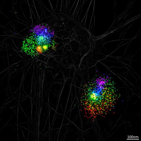 Nuffield Department Of Clinical Neurosciences University Of Oxford On Linkedin Job Details