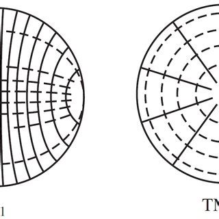 Field Pattern Of The T E 11 And T M 01 Mode Download Scientific Diagram