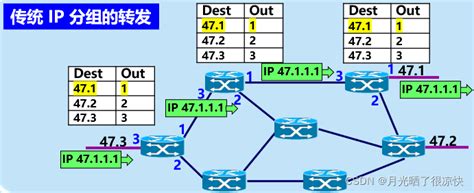 第四章网络层:49多协议标签交换mpls网络层mpls Csdn博客 第四章网络层:49多协议标签交换mpls网络层mpls Csdn博客