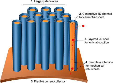 Schematic Illustration For One Body Array Of Coreshell Nanowire