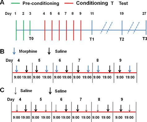 Experimental Procedures A Experimental Procedures Of The Whole Cpp