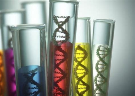 Plasmidgate Just Got A Whole Lot Bigger Recombinant Vaccines Have Contained Plasmid Dna For