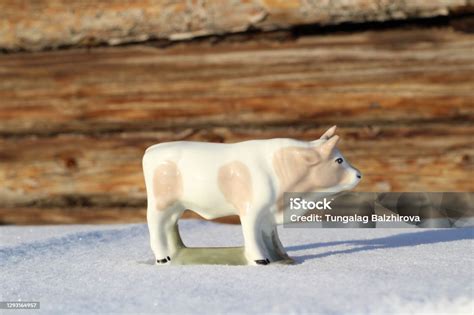 음력2021 년 황소 작은 조각상 기호 겨울에 흰 눈 덮인 뿔이 있는 흰 소 인형 0명에 대한 스톡 사진 및 기타 이미지 0명 1997년 1월 Istock