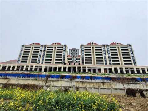 成都中交凤凰华府 实景图2 成都安居客