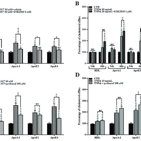 Western Blot Antibody Details Summary Of Primary Antibodies Used For