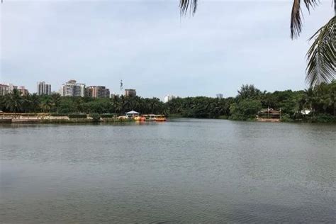 海口观鸟地点有哪些 旅泊网