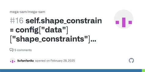 Selfshapeconstraints Config Data Shapeconstraints Keyerror