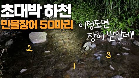 이런 곳은 처음입니다비싼 민물장어가 발에 치인다ㄷㄷㄷ 많아도 너무많네요 Youtube