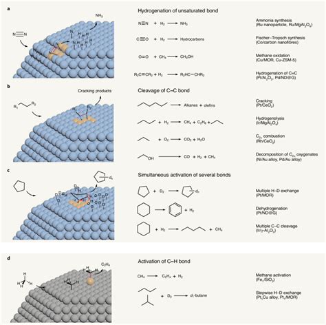 Reactions Favoured By Catalysts With Pmes And Single Metal Atoms Download Scientific Diagram