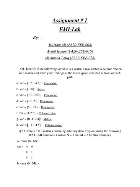 Assignment 1 Lab Download Free Pdf Matrix Mathematics Function Mathematics