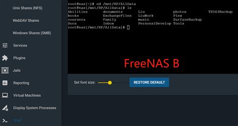 Cannot Find Sub Dataset In Root Shell But Existed In Freenas Web Ui Truenas Community
