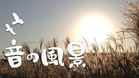 音の風景の風景 音の風景 NHK
