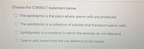 Solved Choose The Correct Statement Below The Epididymis Is