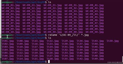 Linux中批量给文件改名