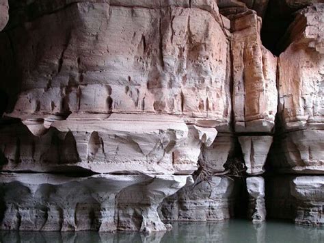 Buna Oromia Coffee London Restaurant Reviews Photos And Phone Number Tripadvisor